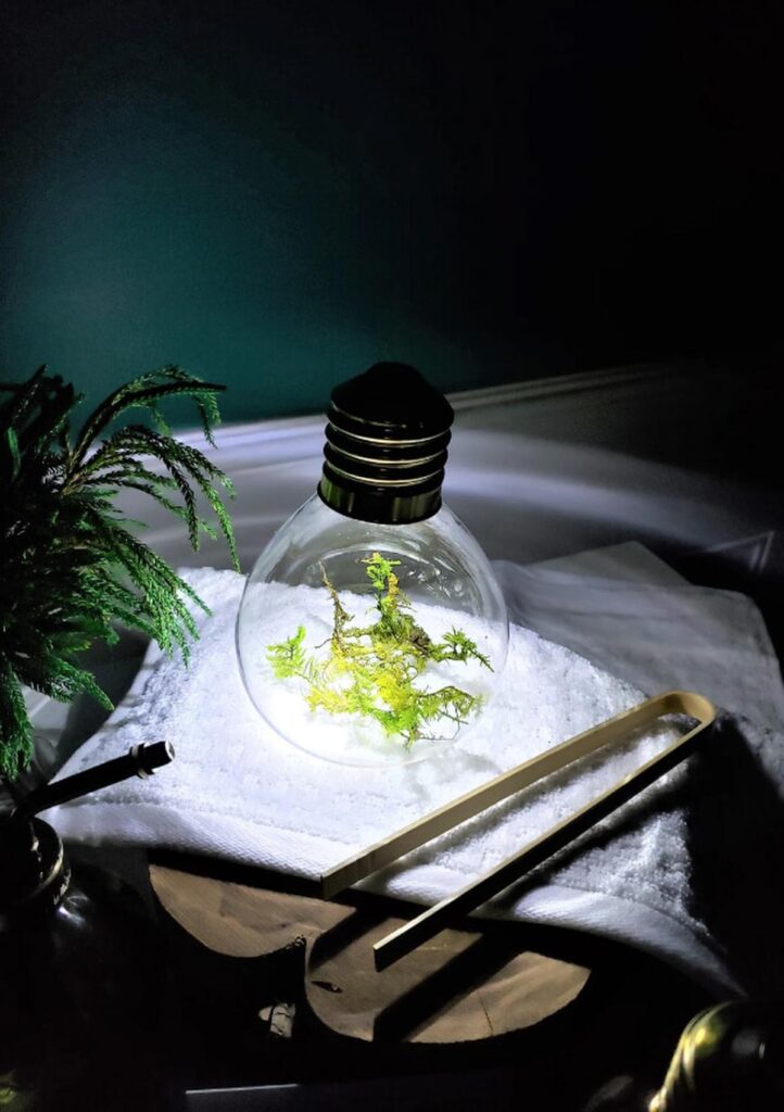 18 Cool DIY Ideas of Old Light Bulbs