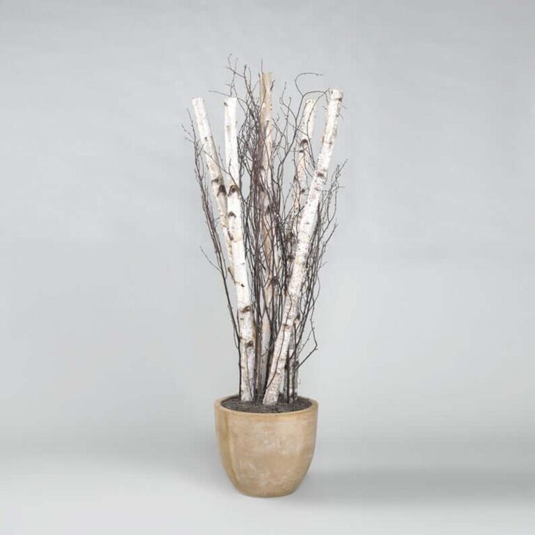 46 Eye-Catching Branch Decoration Ideas That Brighten Any Room