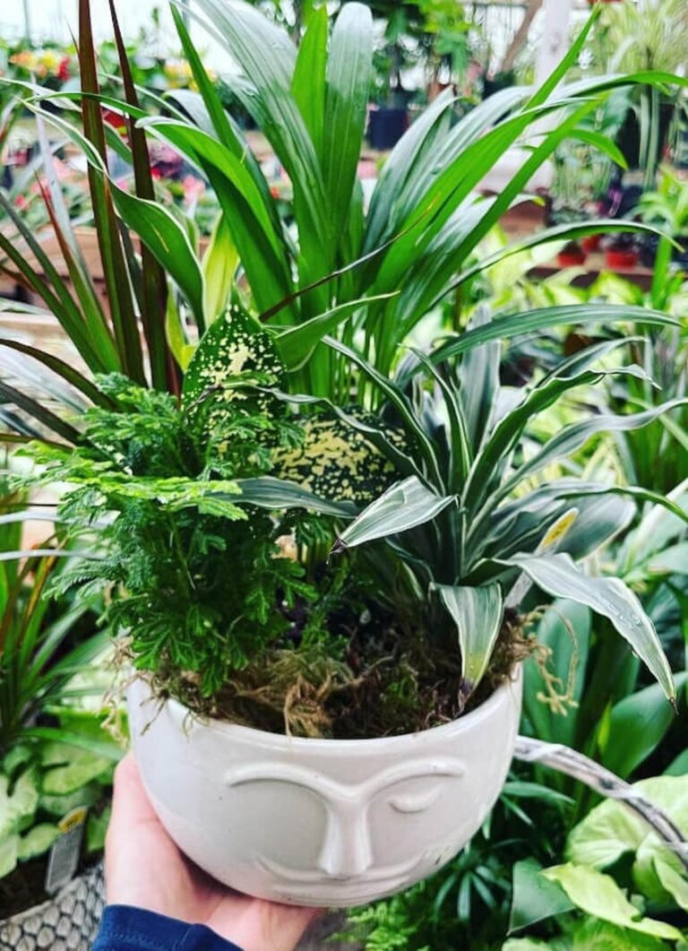 22 Easy Potted Plant Arrangement Inspirations