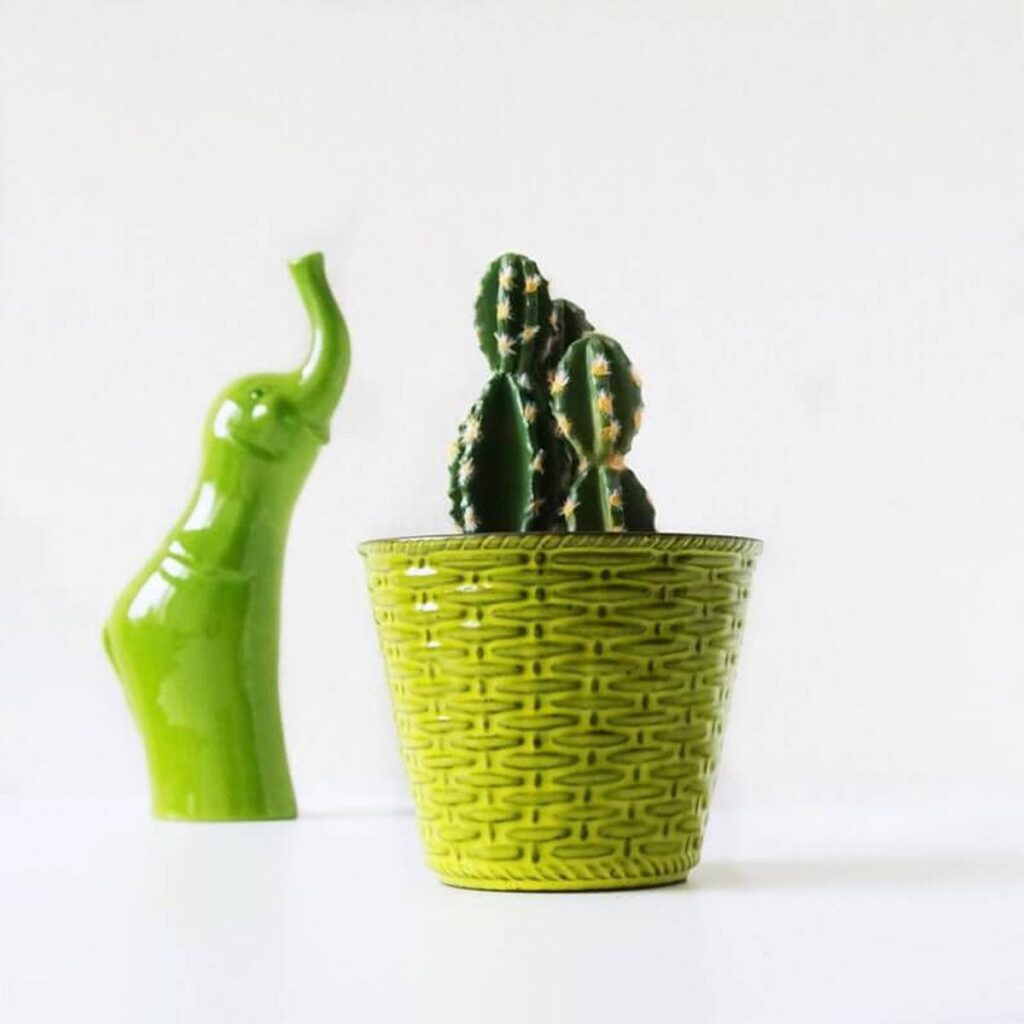 15 Gorgeous Lime Green Home Decor Ideas for a Fresh Look