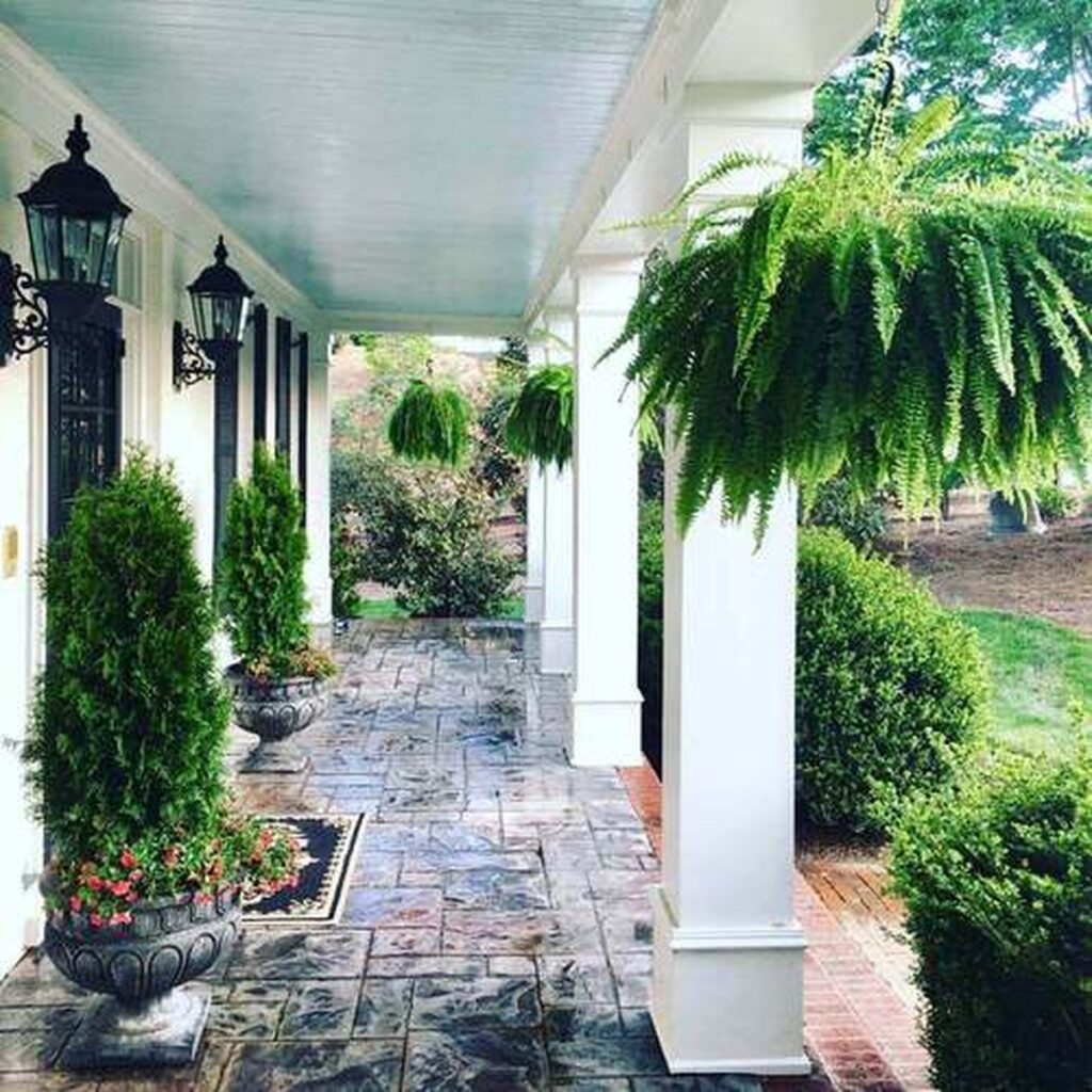 22 Stunning Ways to Decorate Your Home with Big & Lush Ferns