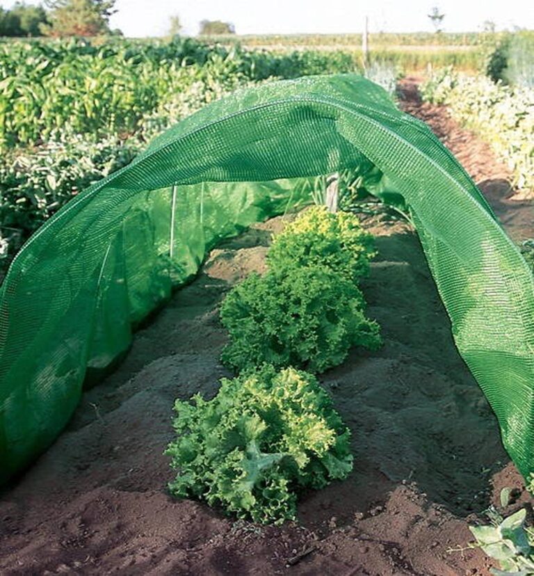 12 Clever Tips for Garden When Going on Vacation