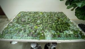 24 Fantastic DIY Plant Table Ideas That Brighten Any Home