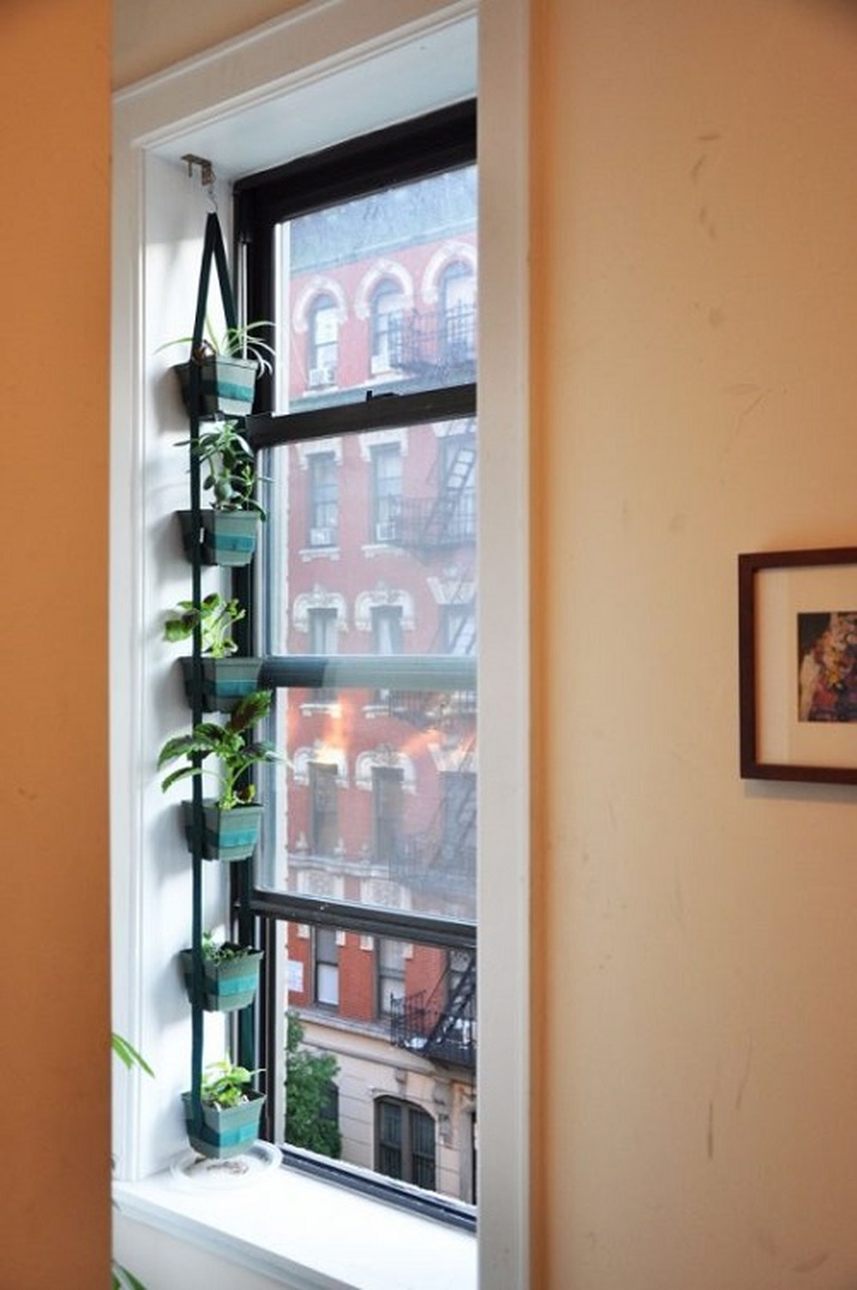 11 Genius Ideas to Create Space and Grow More Plants on a Windowsill