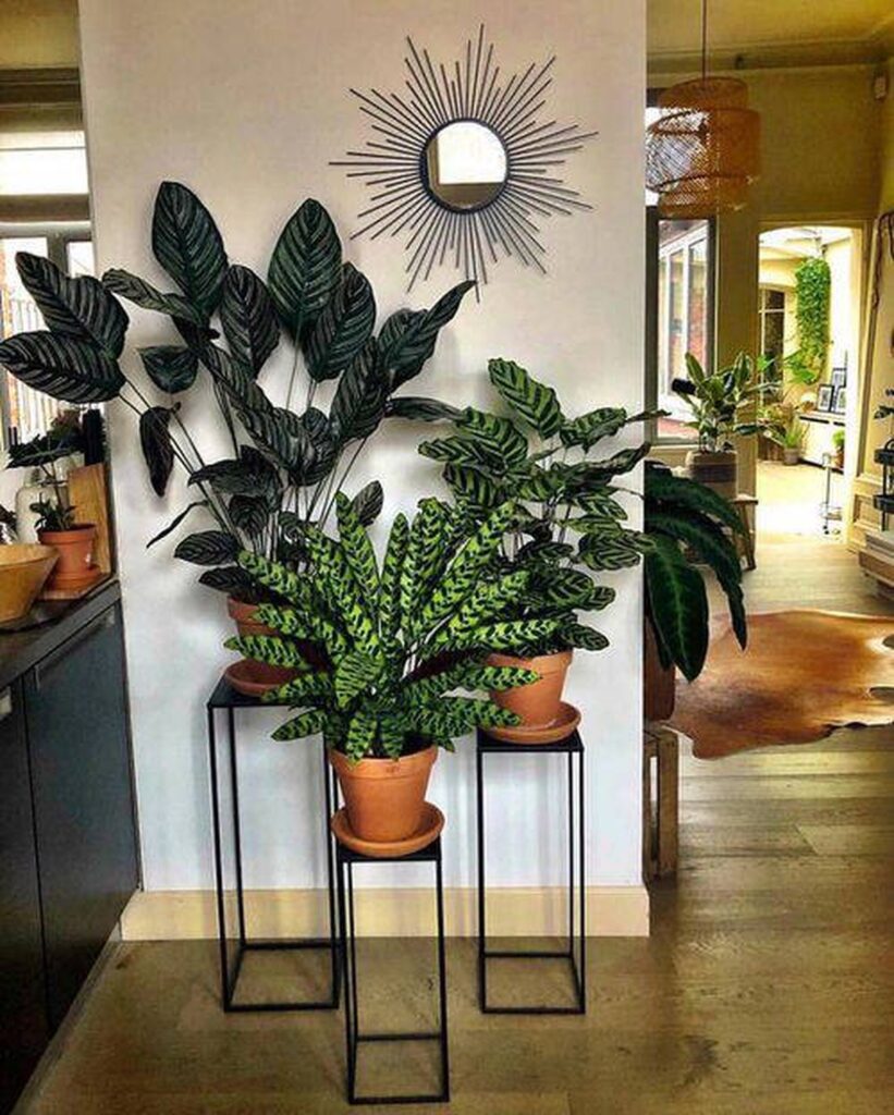32 Stunning Entryway Decor Ideas With Plants That Welcome Home