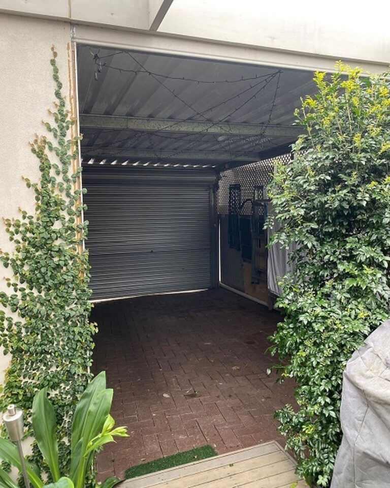 10 Amazing Clinging Vines That Climb on Anything Naturally