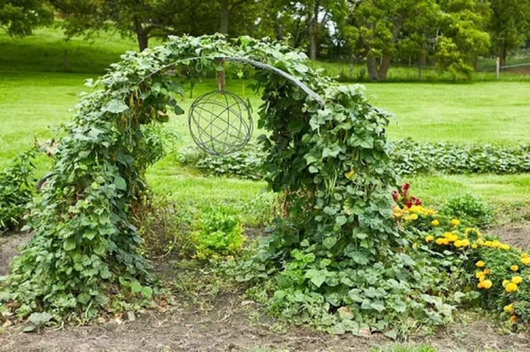 26 Simple and Creative DIY Bean Trellis Ideas for Your Garden