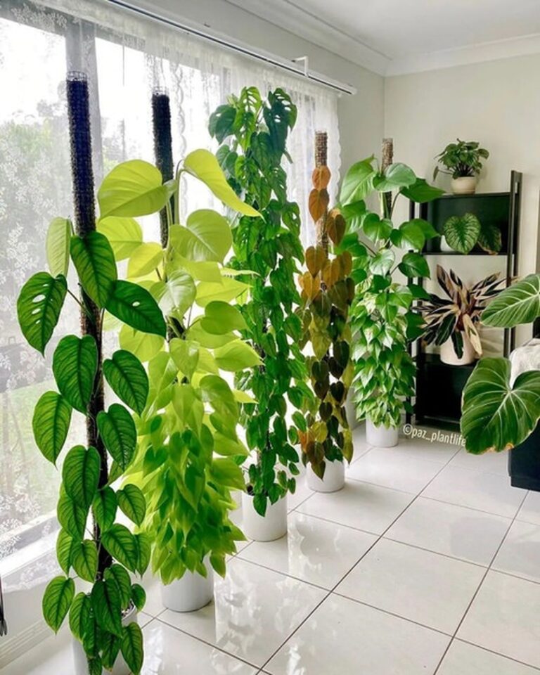 26 Vibrant Interior Ideas Using Beautiful Houseplants