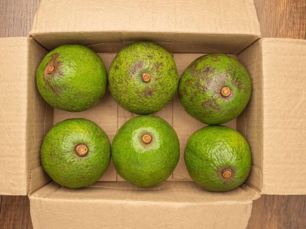 13 Delicious Round Green Vegetables for Pot Growing