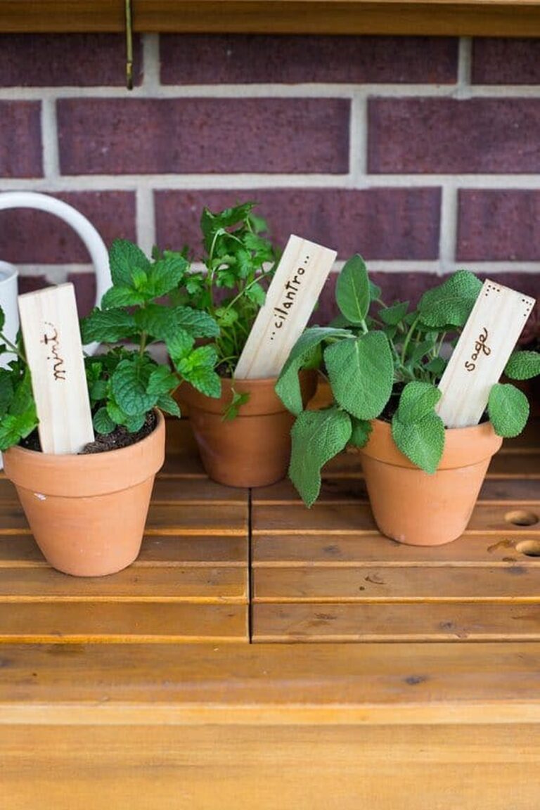 23 Amazing DIY Garden Stake Ideas That Spark Joy