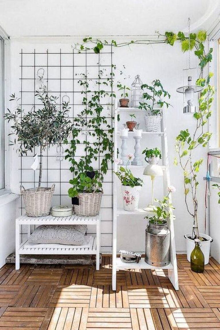 40 Charming Ways to Display Vines Both Indoors and Outdoors