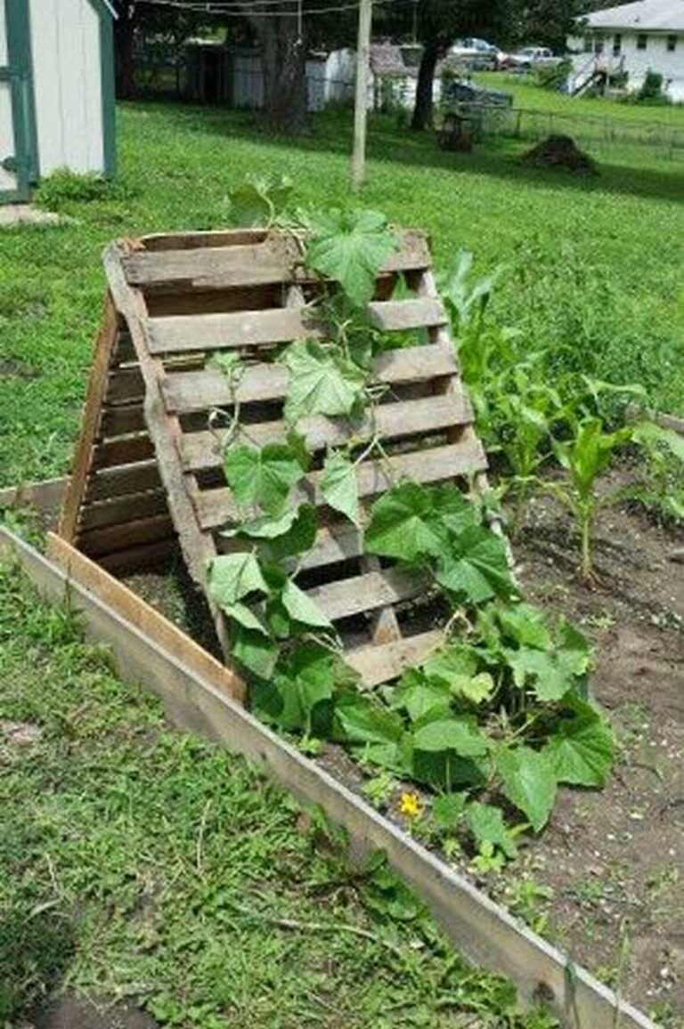 26 Simple and Creative DIY Bean Trellis Ideas for Your Garden
