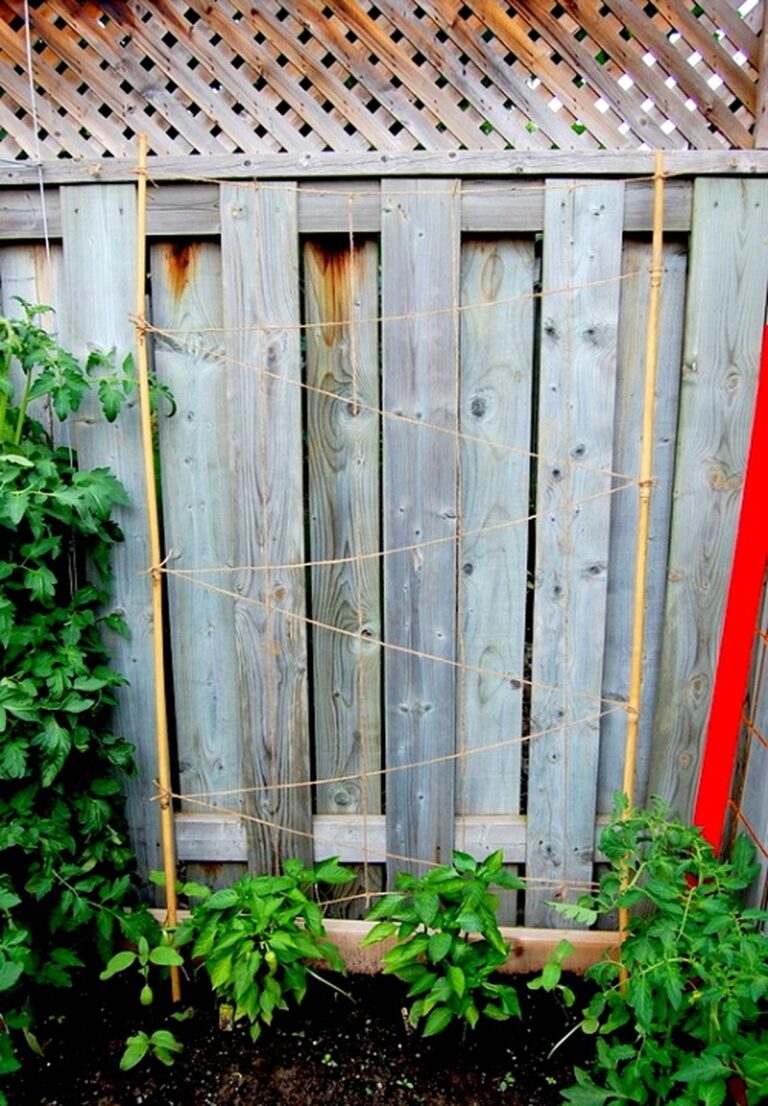 26 Simple and Creative DIY Bean Trellis Ideas for Your Garden