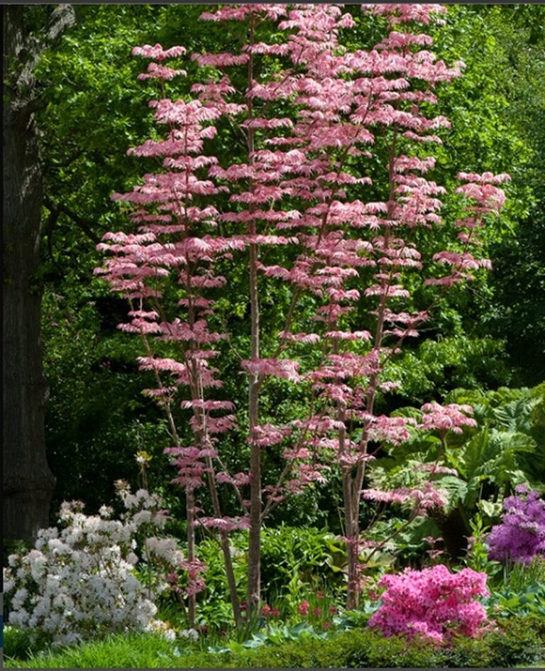 34 Stunning Landscaping with Purple Plants Ideas for Your Garden