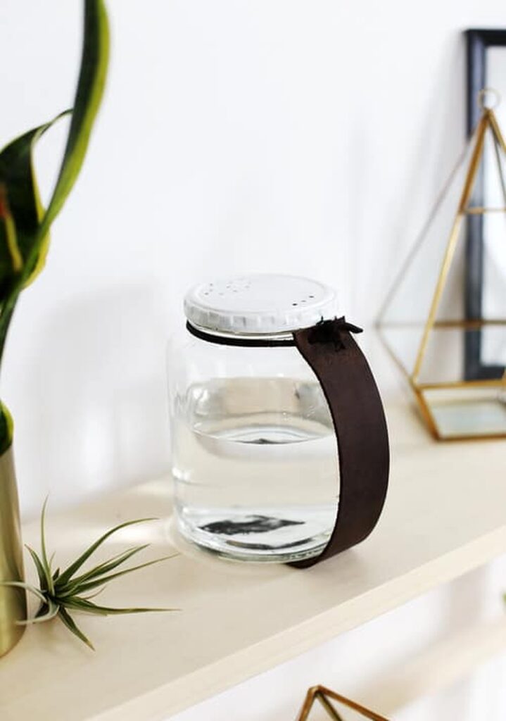 20 Delightful DIY Watering Can Ideas You Can Make for Free