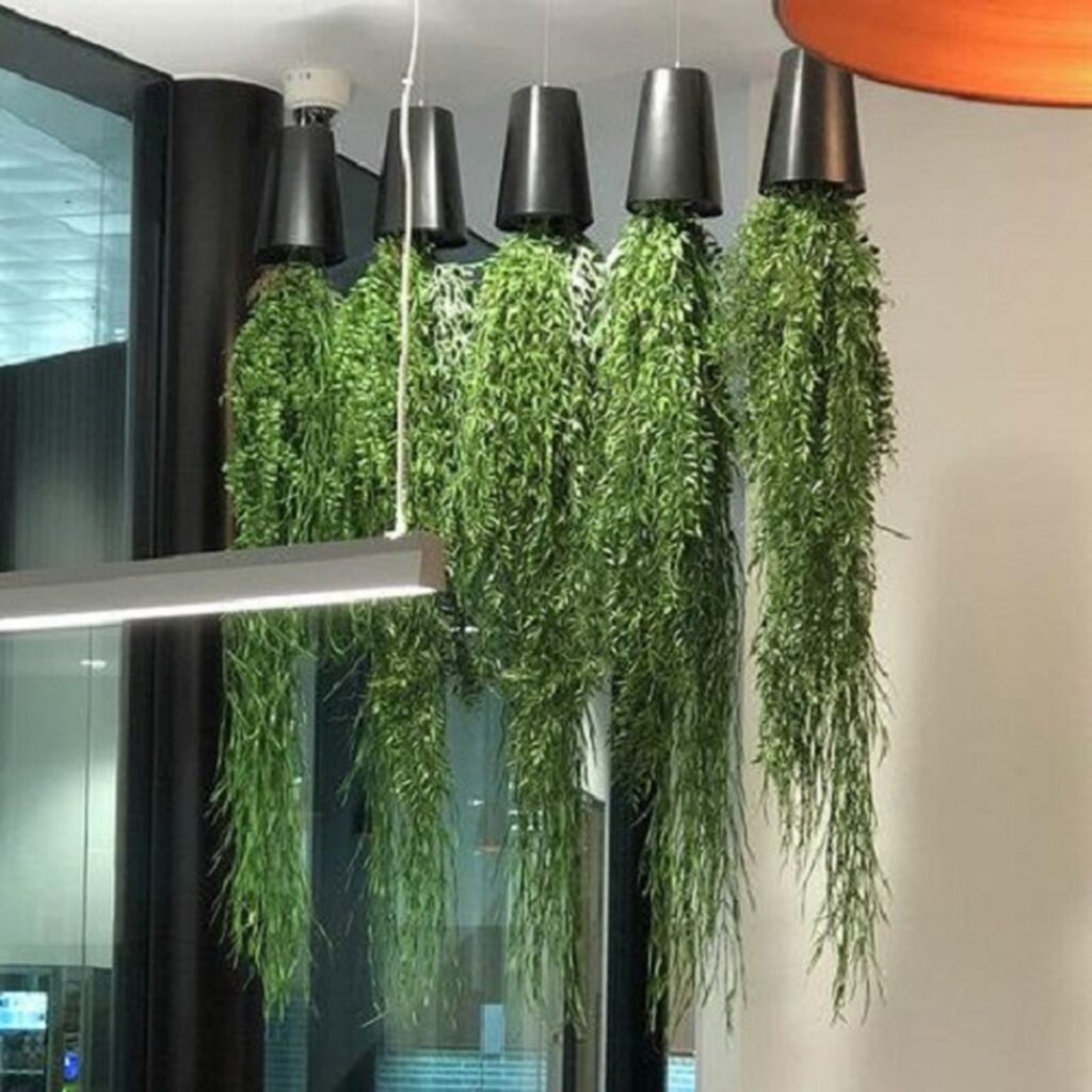 29 Stunning Plant Ceiling Ideas to Transform Your Space