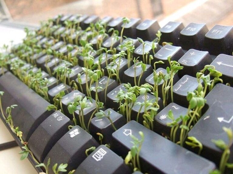 17 Jaw-Dropping Plants Growing Out Of Strange Places