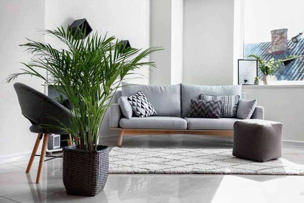 25 Refreshing Home Decor Ideas with Indoor Palms That Elevate Any Space