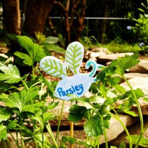 23 Amazing DIY Garden Stake Ideas That Spark Joy