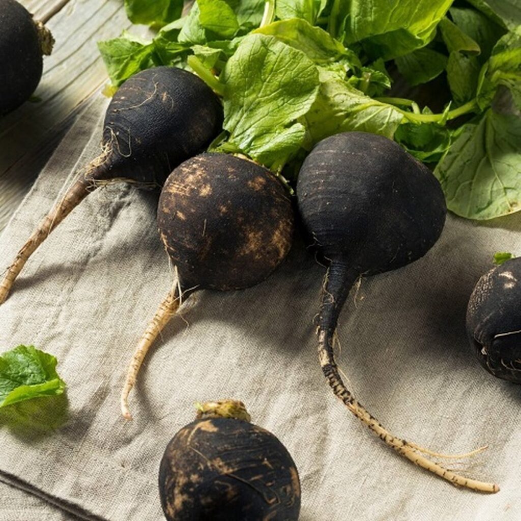 21 Stunning Black Vegetables to Grow in Your Garden