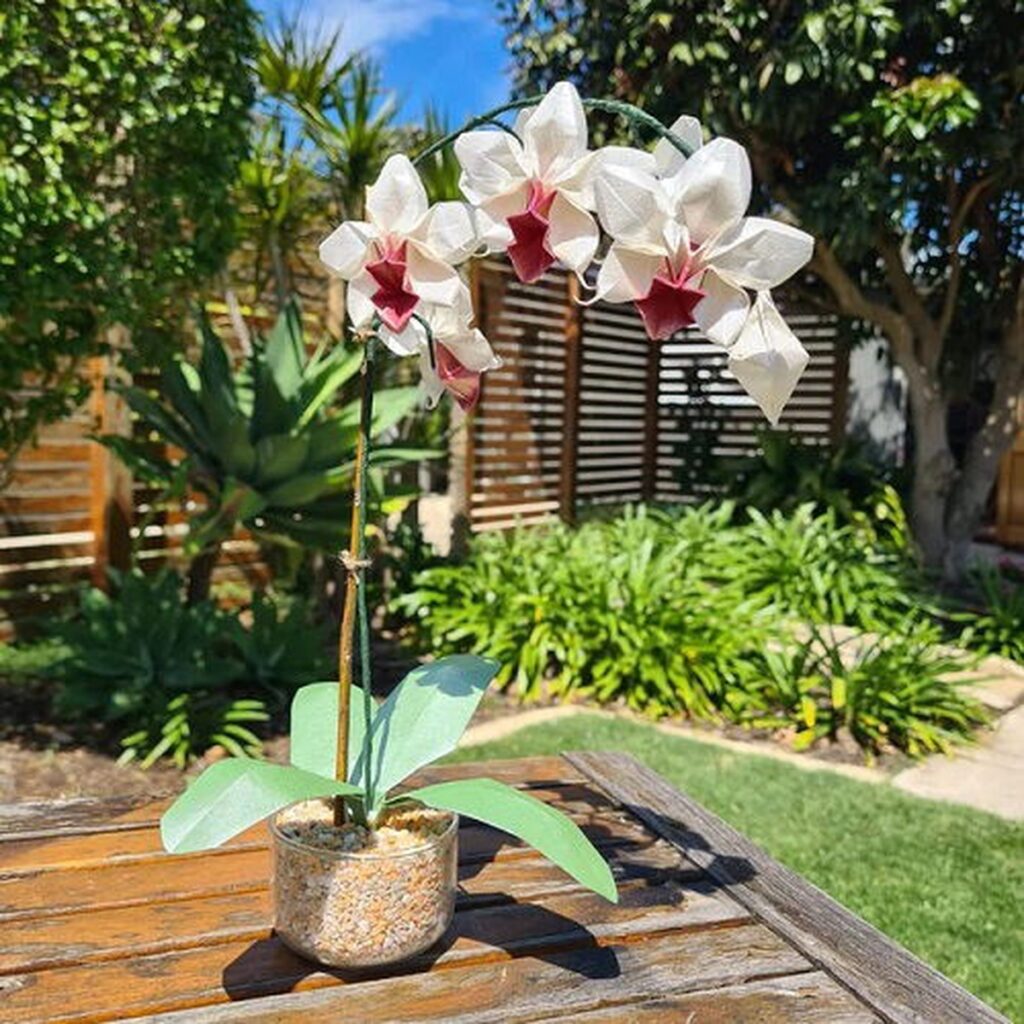 19 Stunning Orchid Arrangement Ideas to Brighten Your Space