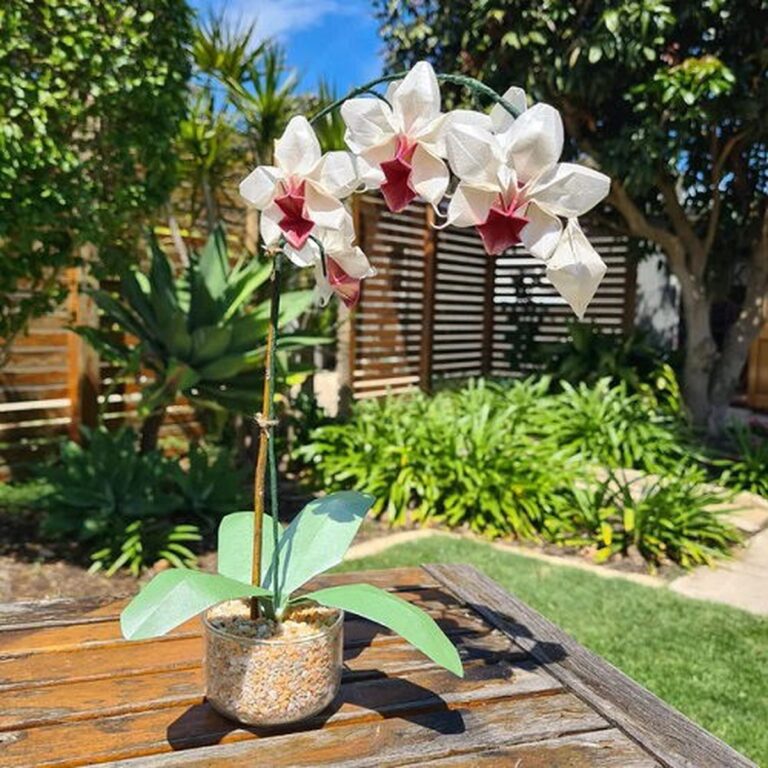 19 Stunning Orchid Arrangement Ideas to Brighten Your Space