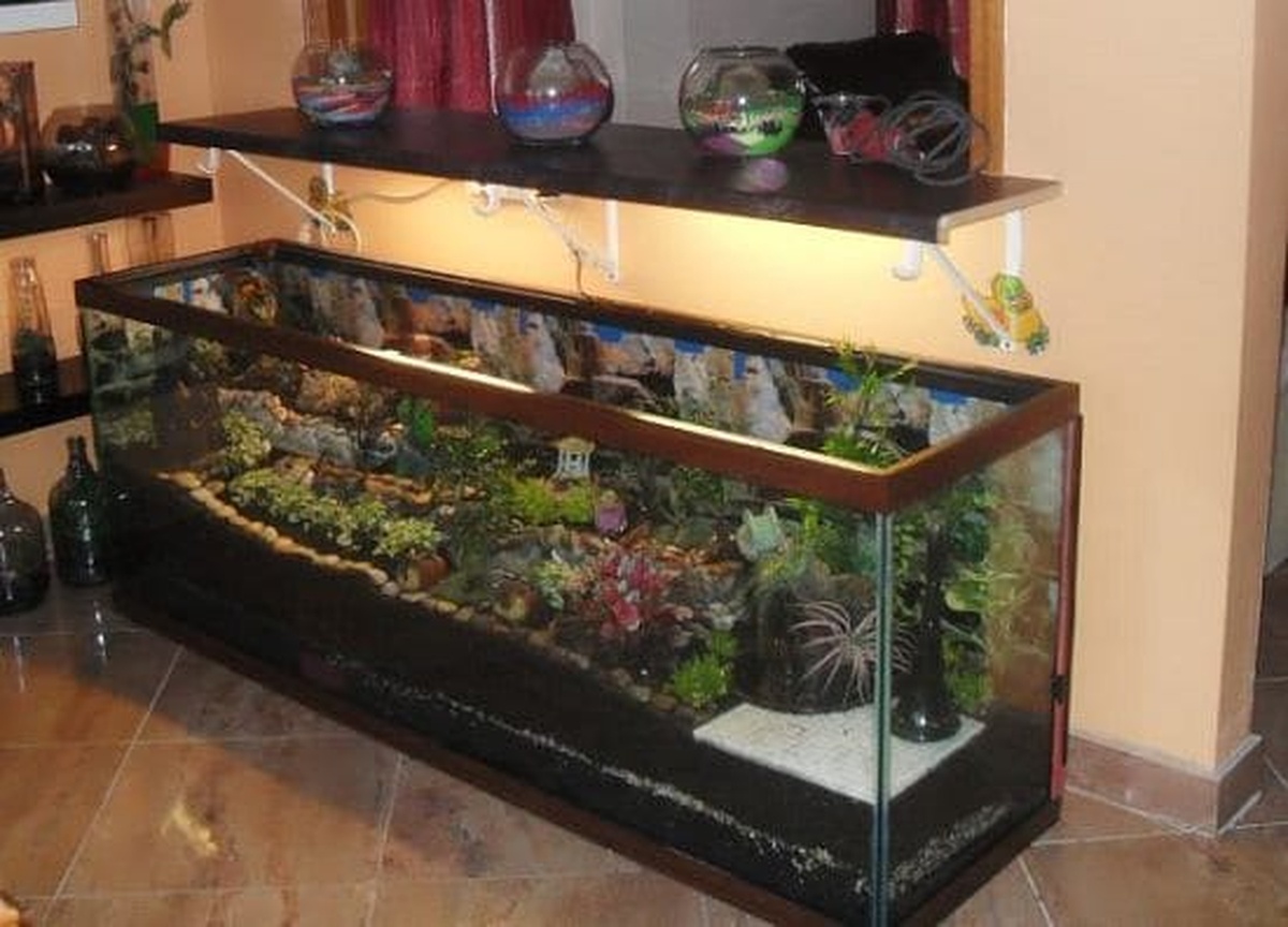 8 Charming DIY Fish Tank Planter & Terrarium Ideas for Home