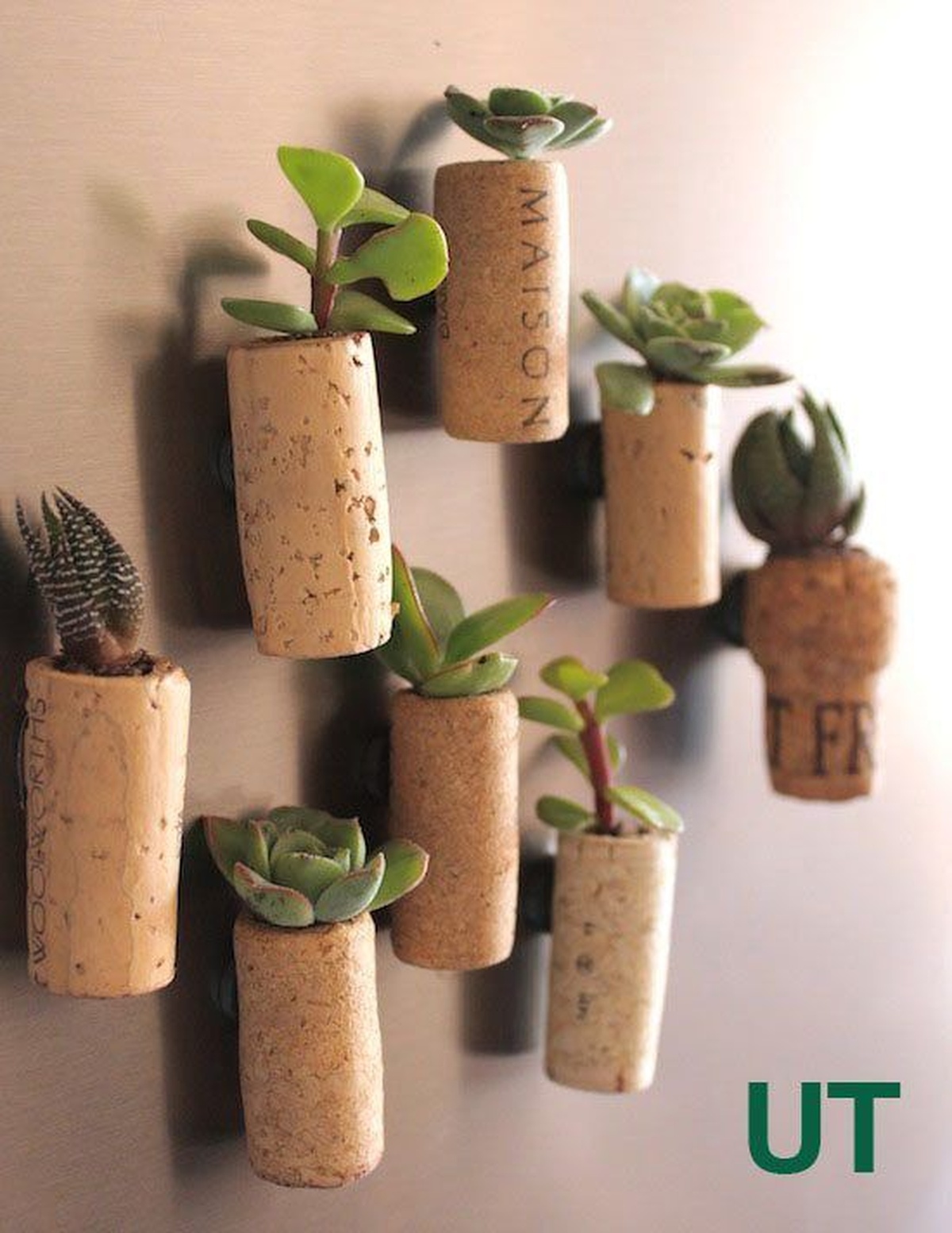 7 Charming DIY Indoor Magnetic Garden Ideas to Try Today