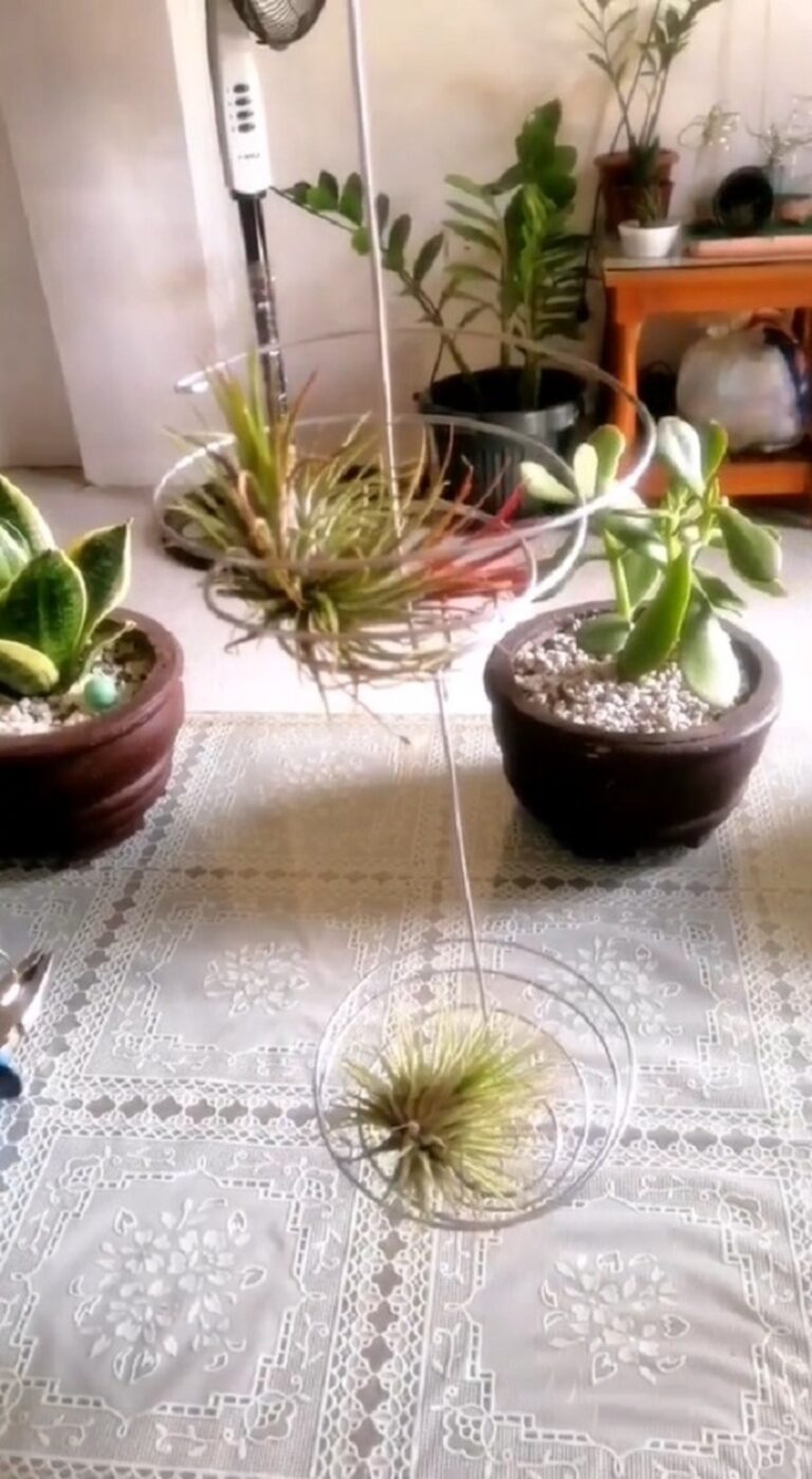 26 Ingenious DIY Plant Hangers From Unusual Items That Wow