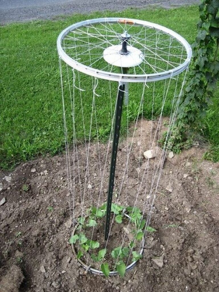 25 Genius Plant Support Ideas That Really Work