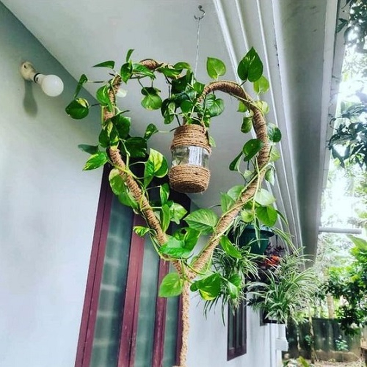 11 Gorgeous DIY Pothos Wreath Ideas That Will Wow Everyone