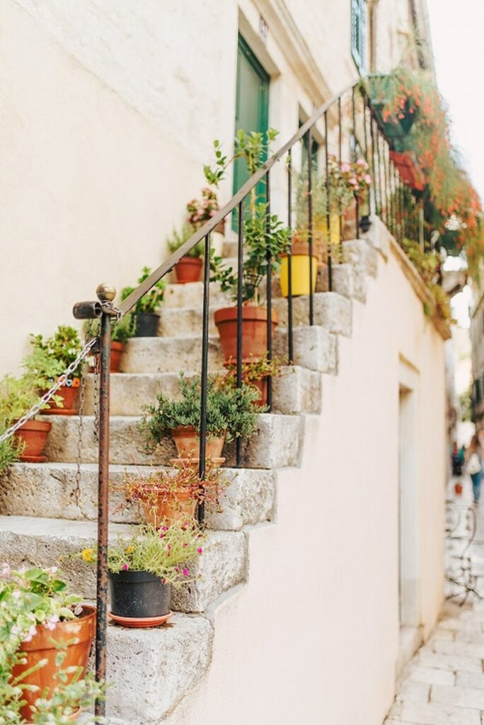 20 Stunning Plants for Steps and Staircases That Transform Space