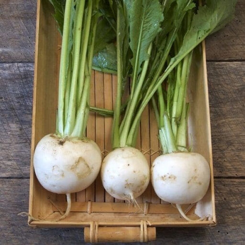 23 Delicious Types of Turnips: Best Varieties for Your Garden