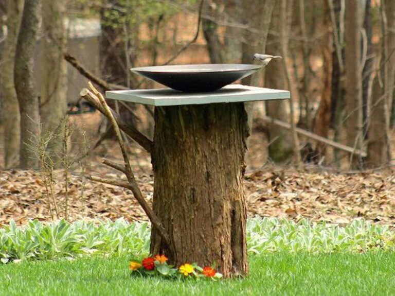 20 Charming Things to Do with Tree Stumps for Home Magic