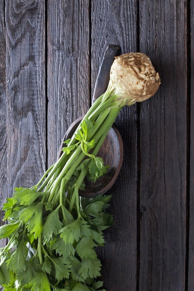 18 Surprising Man Made Vegetables That Will Amaze You