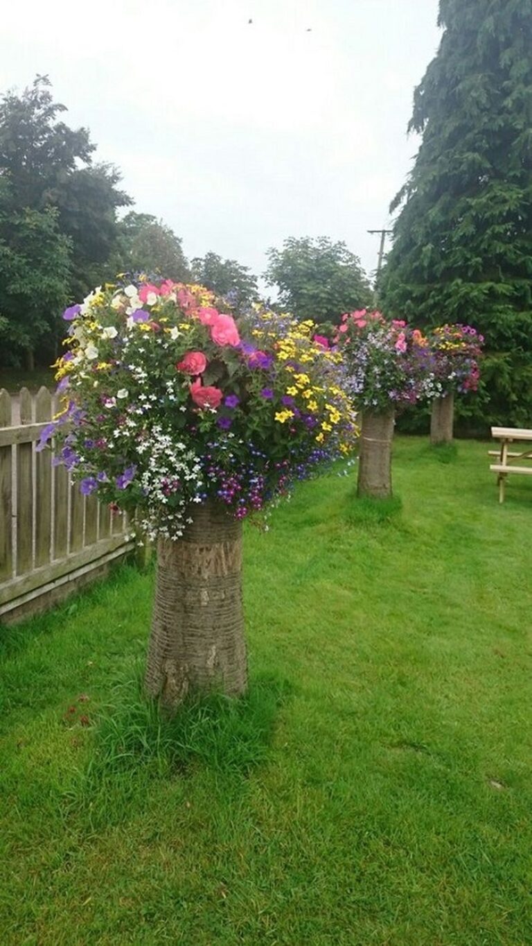 20 Delightful DIY Tree Projects To Transform Your Backyard