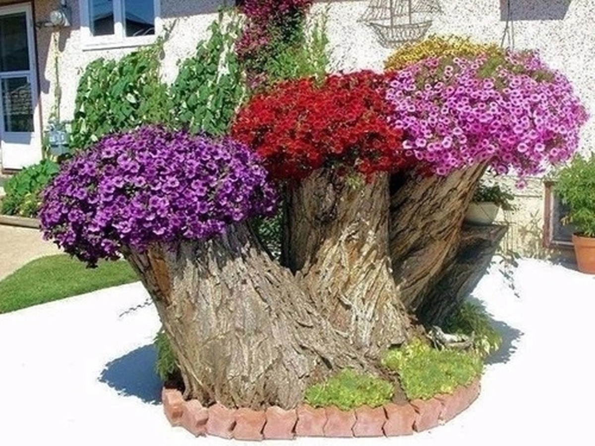 22 Blazing Tree Stump Planter Ideas That'll Transform Your Garden