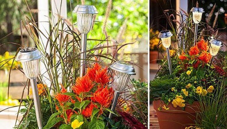 35 Clever DIY Solar Light Projects You Can Easily Create