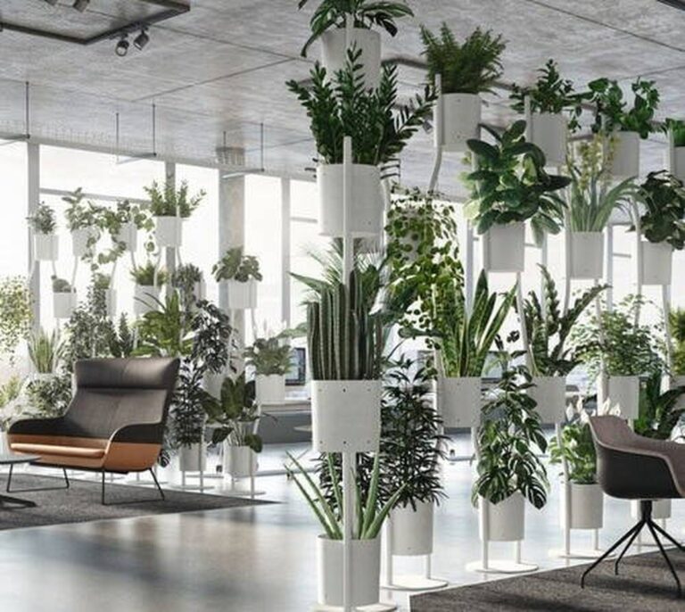 21 Gorgeous Indoor Plants Room Divider Ideas for Your Space