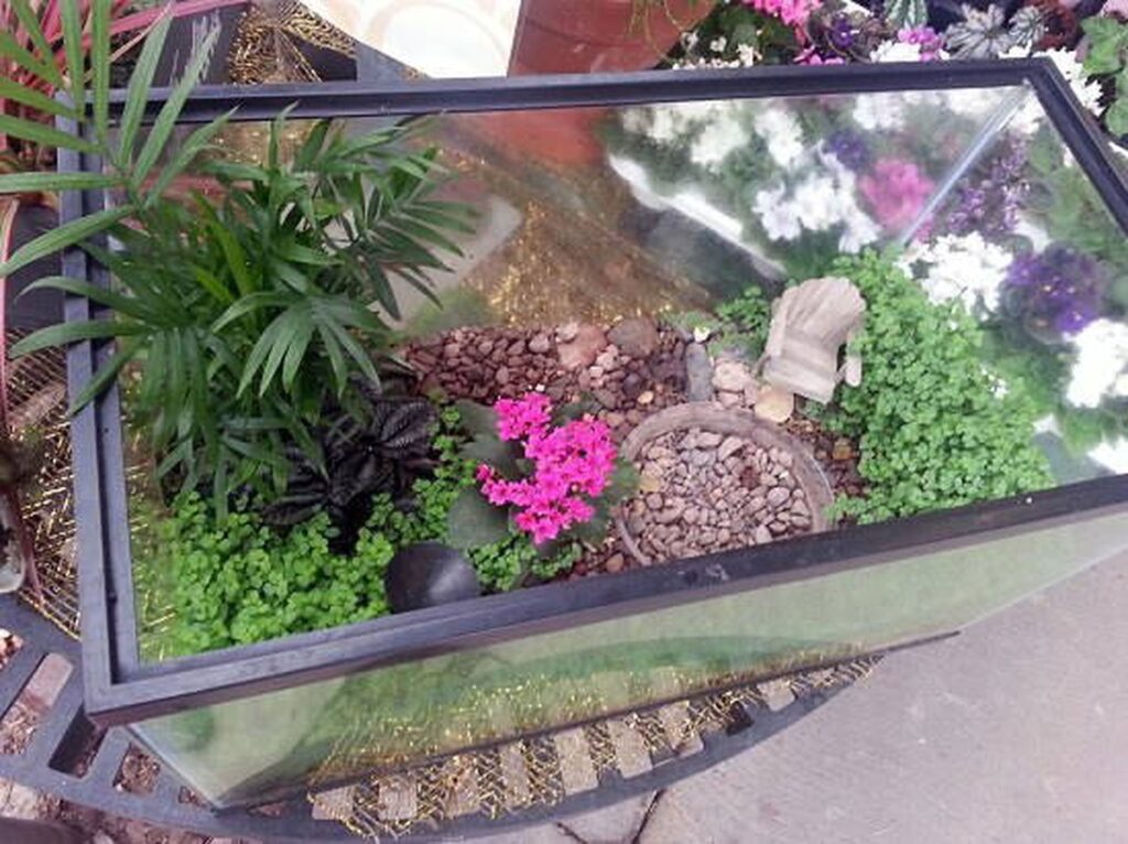 5 Awesome Ways to Repurpose An Old Fish Tank Today