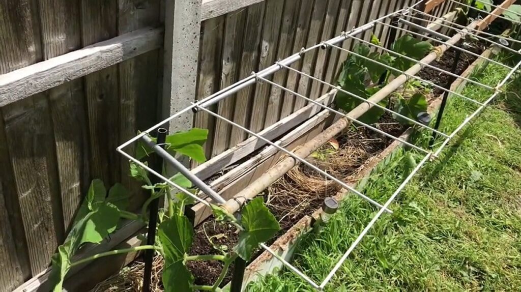 17 Fantastic DIY Squash Trellis Ideas for Your Garden