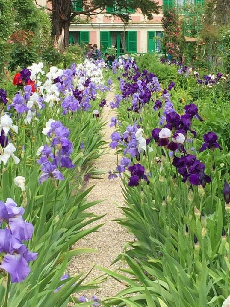 24 Stunning Iris Arrangement Ideas That Brighten Any Space