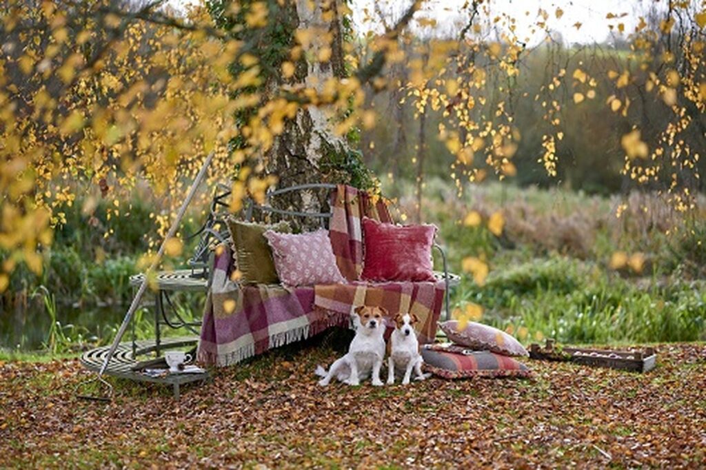 20 Delightful DIY Tree Projects To Transform Your Backyard