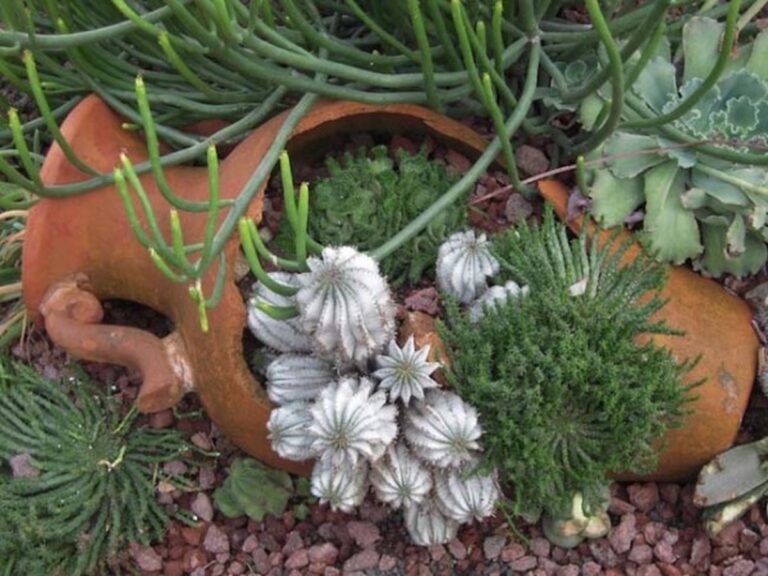 18 Incredible Broken Pot Ideas For Garden That Enchant