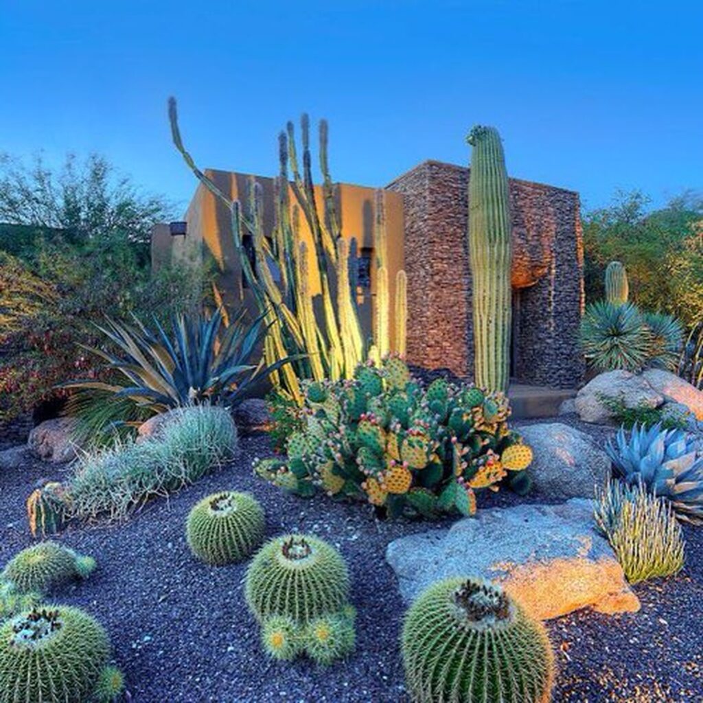 35 Stunning Desert Landscaping Ideas Pictures to Transform Your Yard