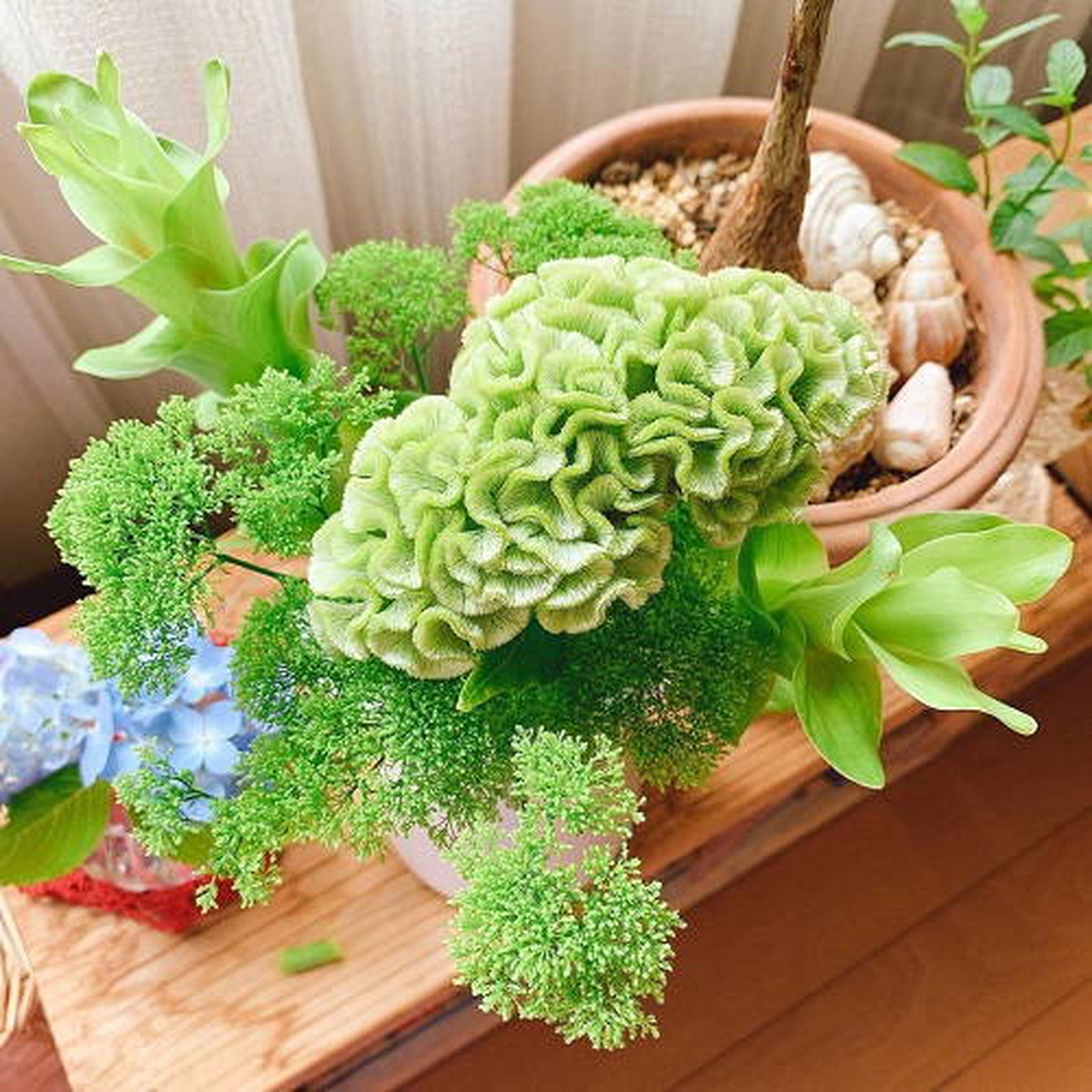 11 Stunning Emerald Flowers That Bring Magic to Your Garden