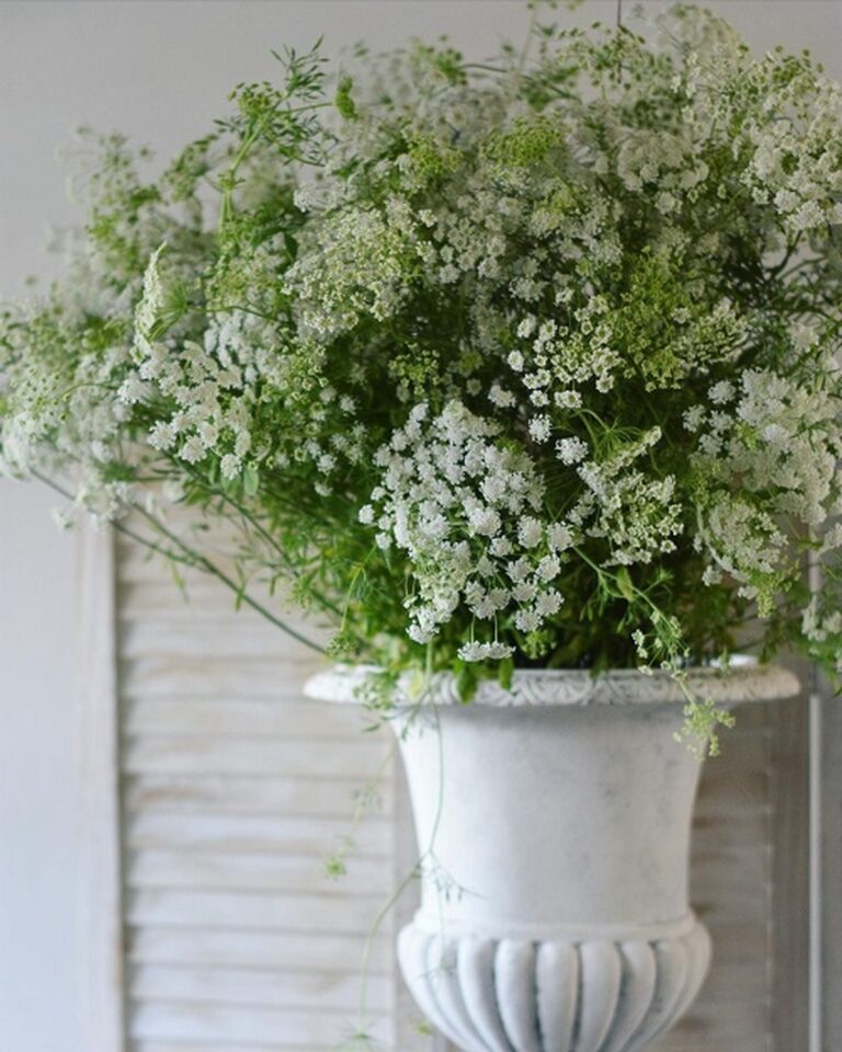 50 Beautiful Types of Cut Flowers for a Cut Flower Garden