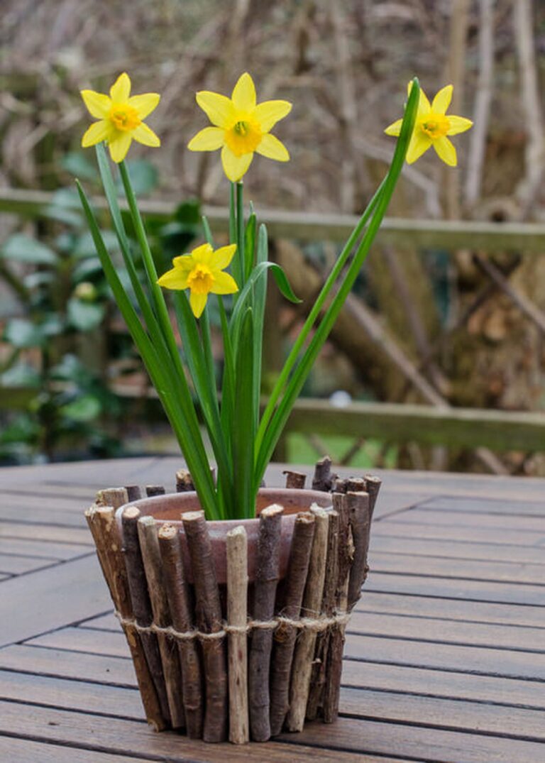 22 Charming DIY Garden Decor Ideas Using Tree Branches