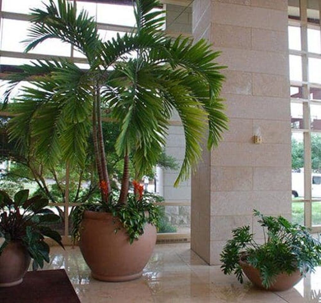 30 Stunning Architectural Plants Perfect for Container Gardening