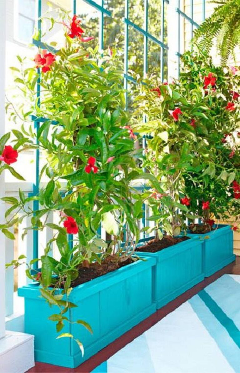 40 Charming Ways to Display Vines Both Indoors and Outdoors